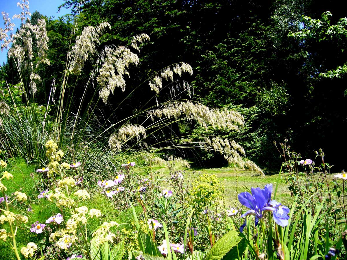 Otterton Village Website - Open Gardens