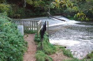 Otterton Village Website - Local walks -The Colaton Raleigh walk